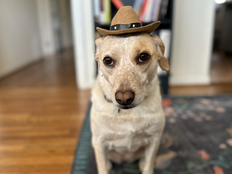 About - Evolve Living